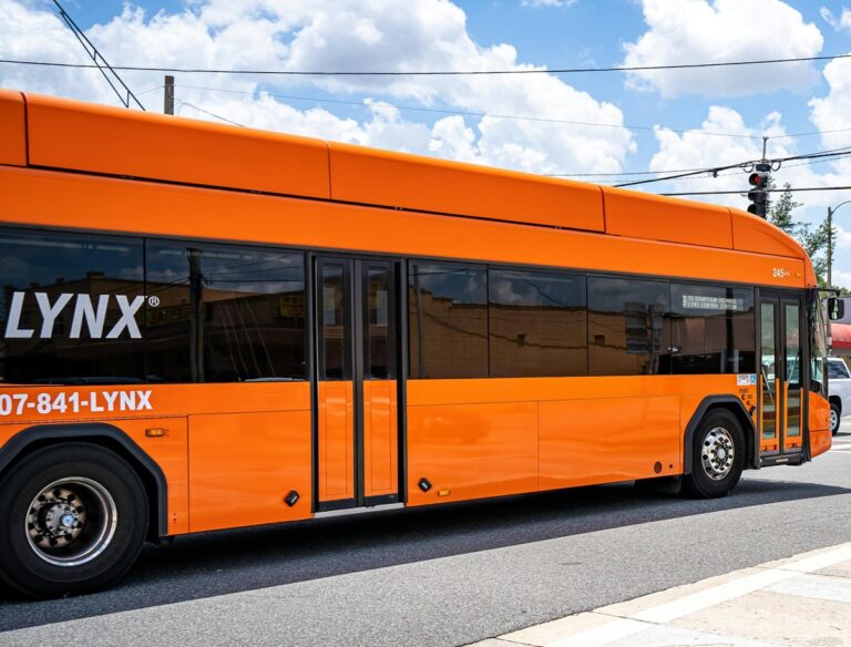 Orlando Buses
